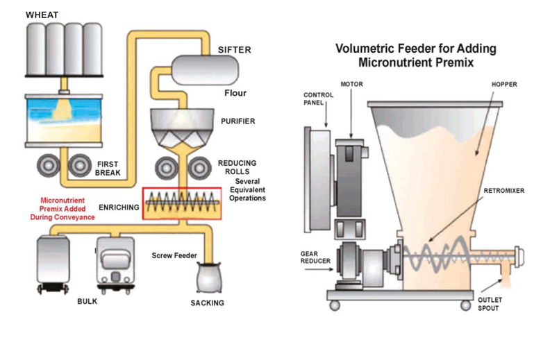 Center of Excellence For Food Fortification - NIFTEM-K
